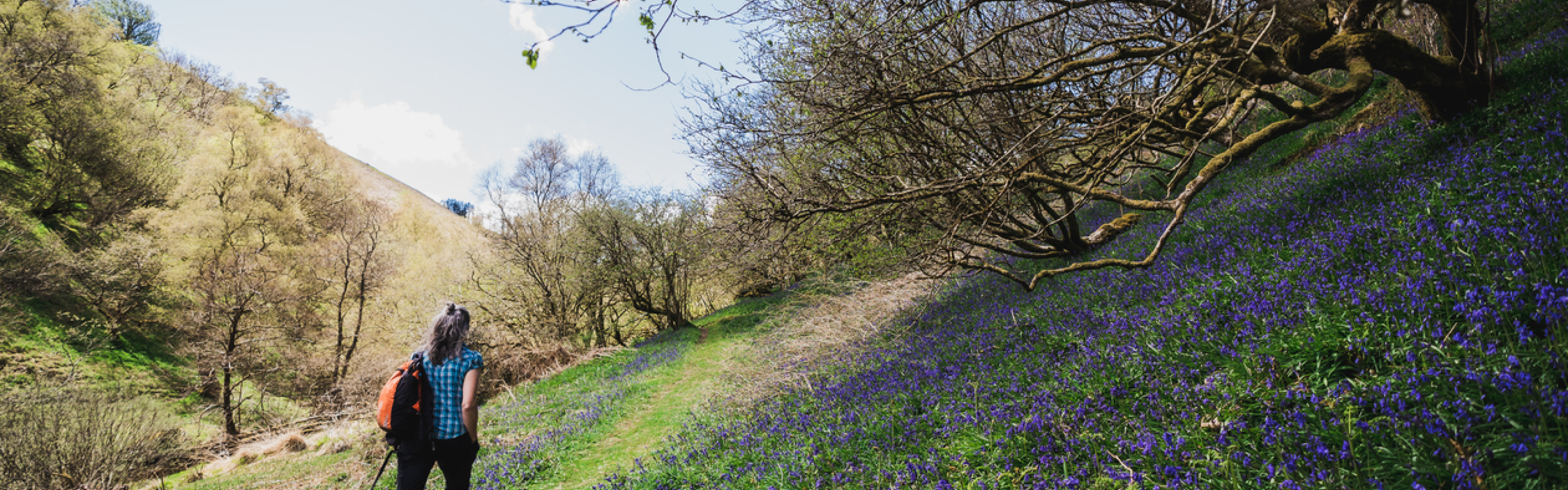 Ramblers Cymru's Paths to Wellbeing project | Wales