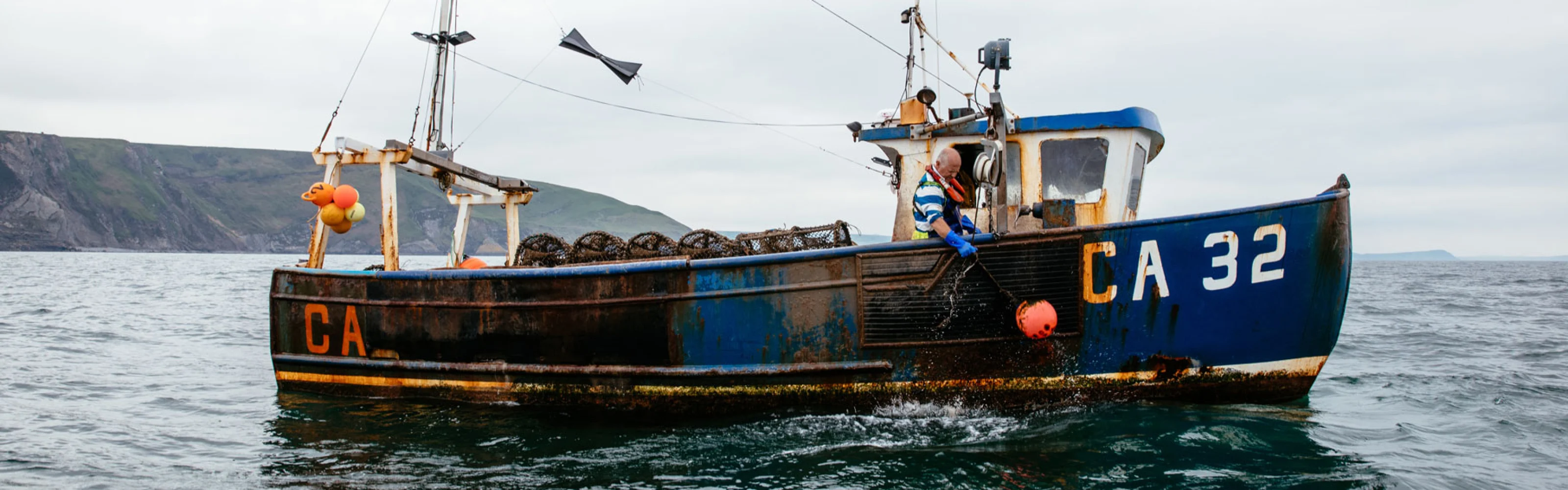 Cardigan Bay| Pêche et marchés de producteurs | Wales.com