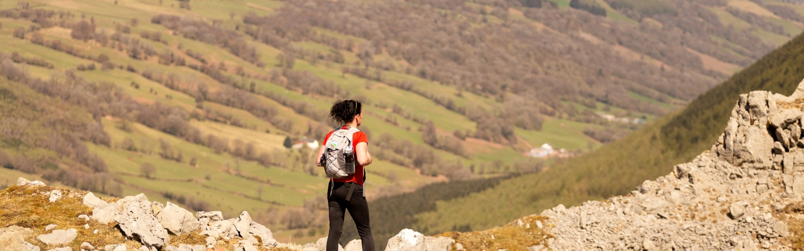 Welsh traditions and figures in popular culture | Wales.com