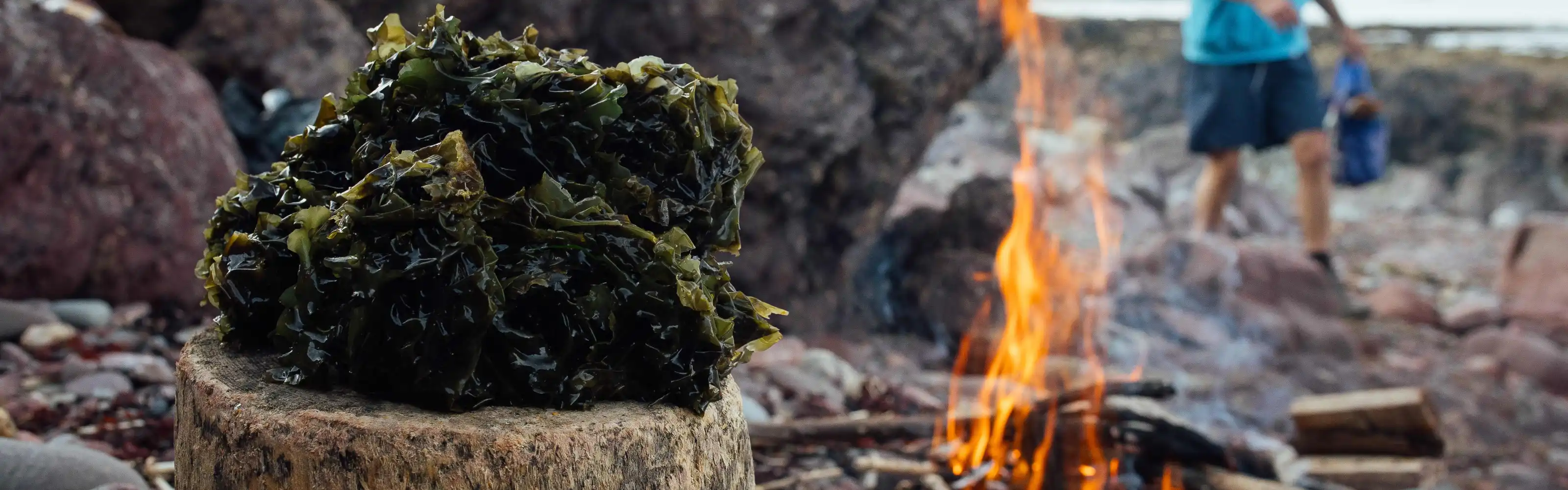 Why the Welsh eat seaweed | Wales.com